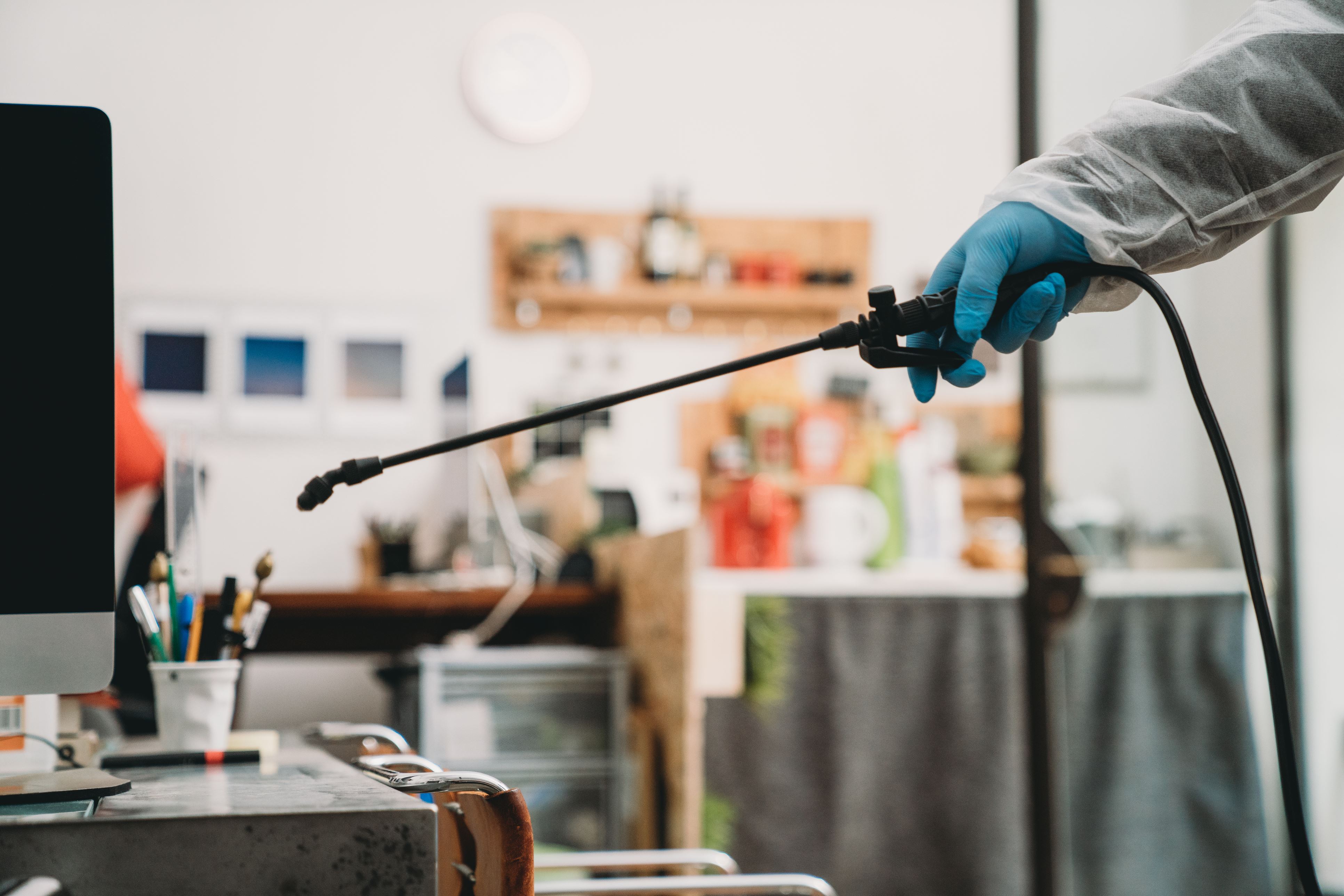 The Dangers of DIY Pest Control for Commercial Properties: Why ...